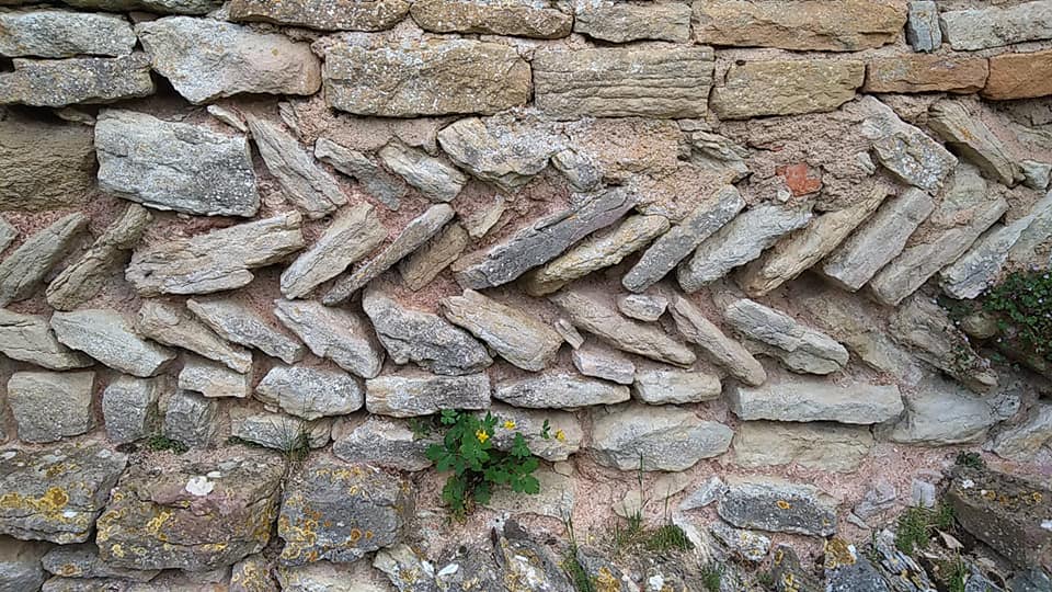 L’opus spicatum - Jean-Marie Borghino