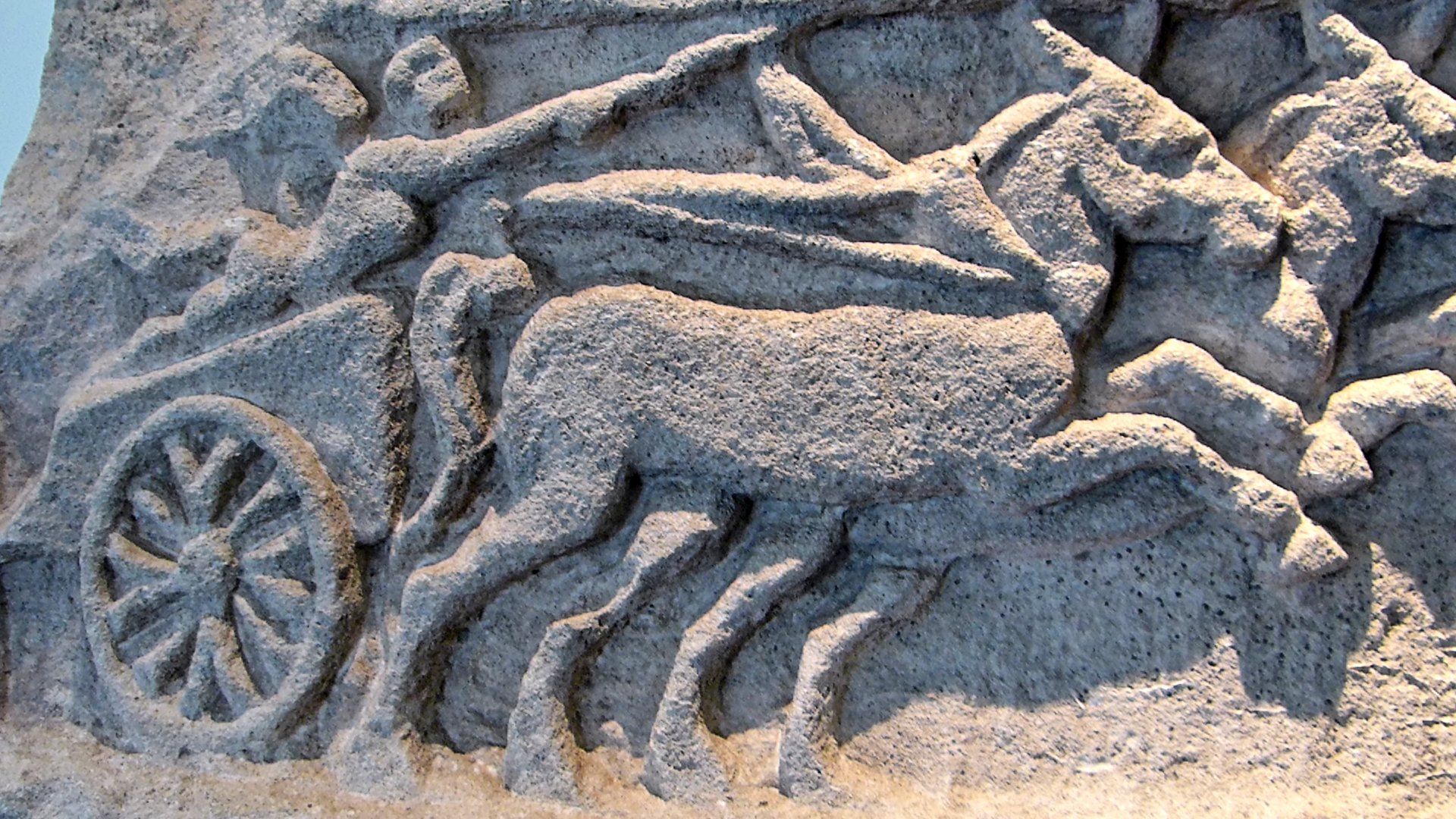 Le Cirque Maximus de Rome - Jean-Marie Borghino