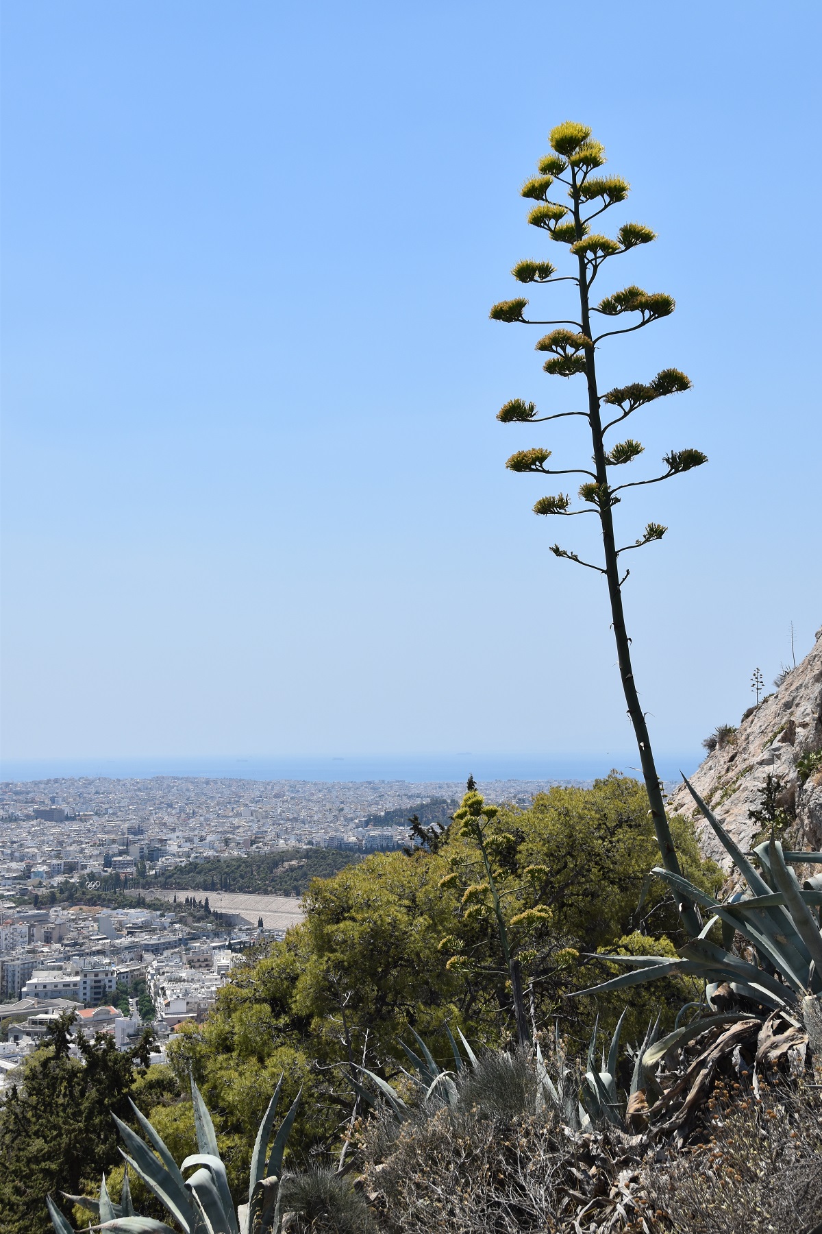 Le Théâtre de Dionysos - Jean-Marie Borghino