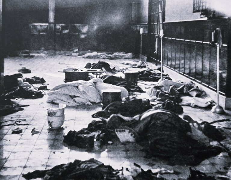 1937, Le Massacre de Nankin : un Holocauste oublié - Jean-Marie Borghino